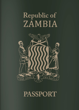 Mozambique Passport: Ranking, Details, Travel Freedom and All You Need to Know in 2024 - Visa List