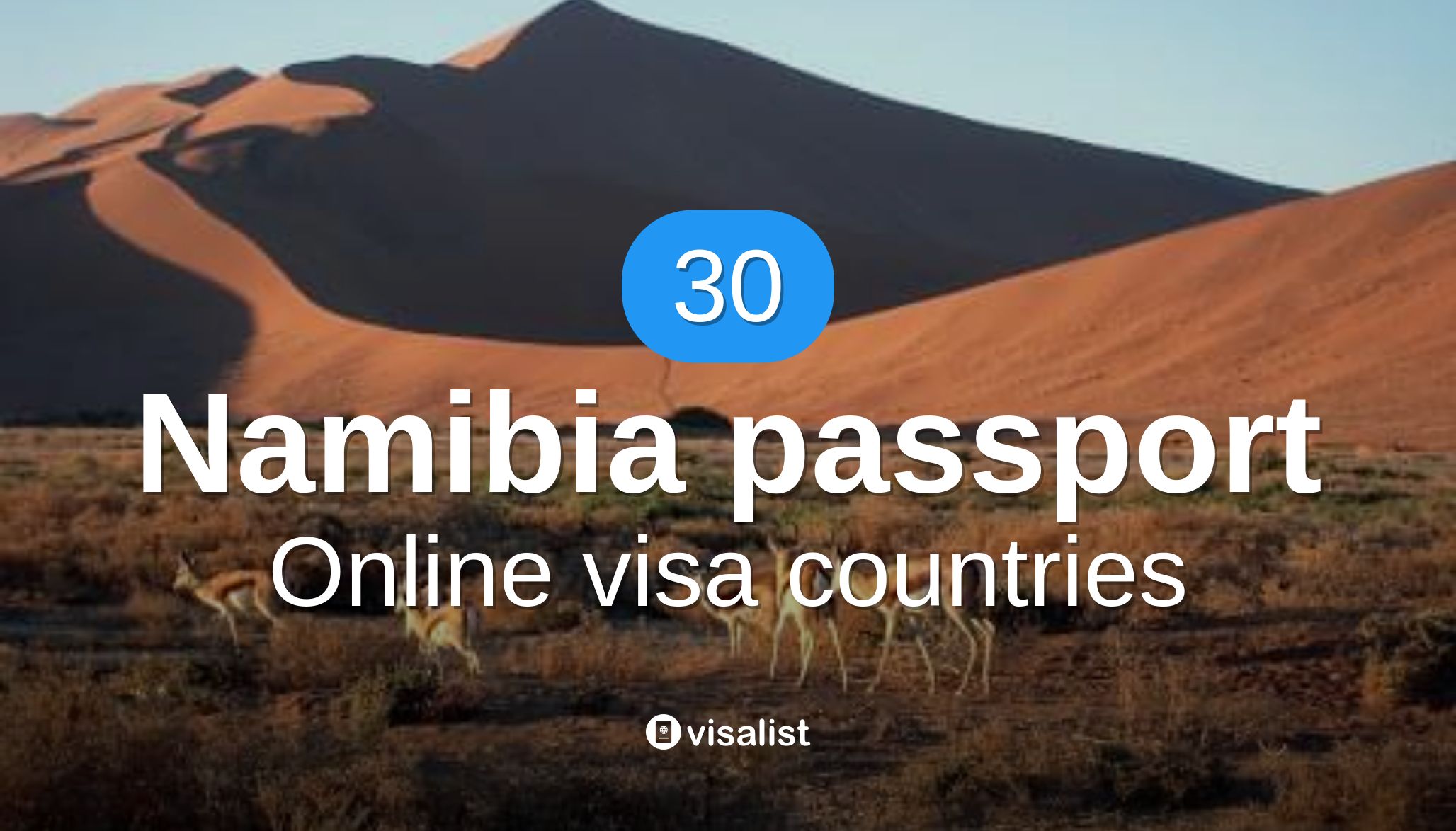 41 evisa countries you can visit with Namibia passport 2025 - Visa List
