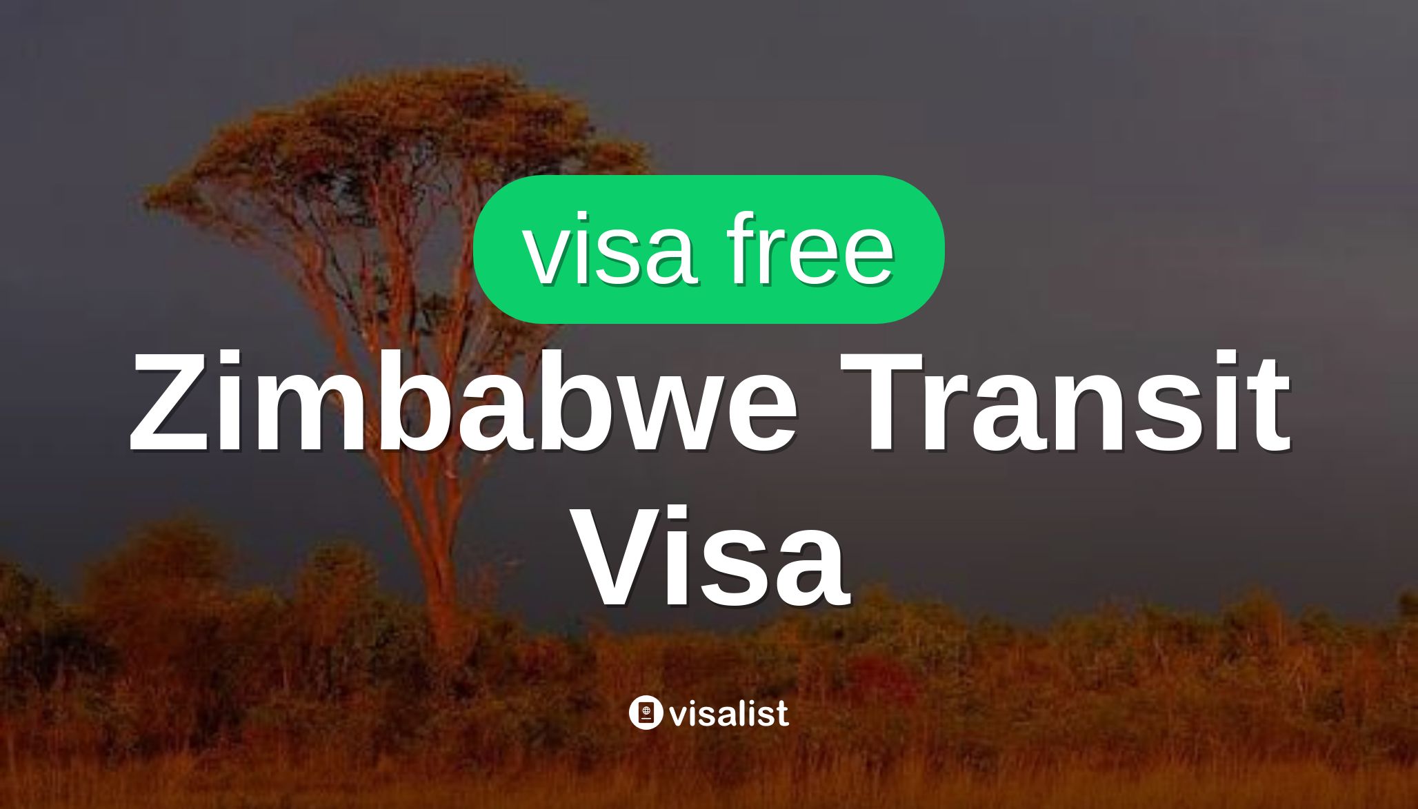 Zimbabwe Visa de transit pour Mali citoyens 2026 - Visa List